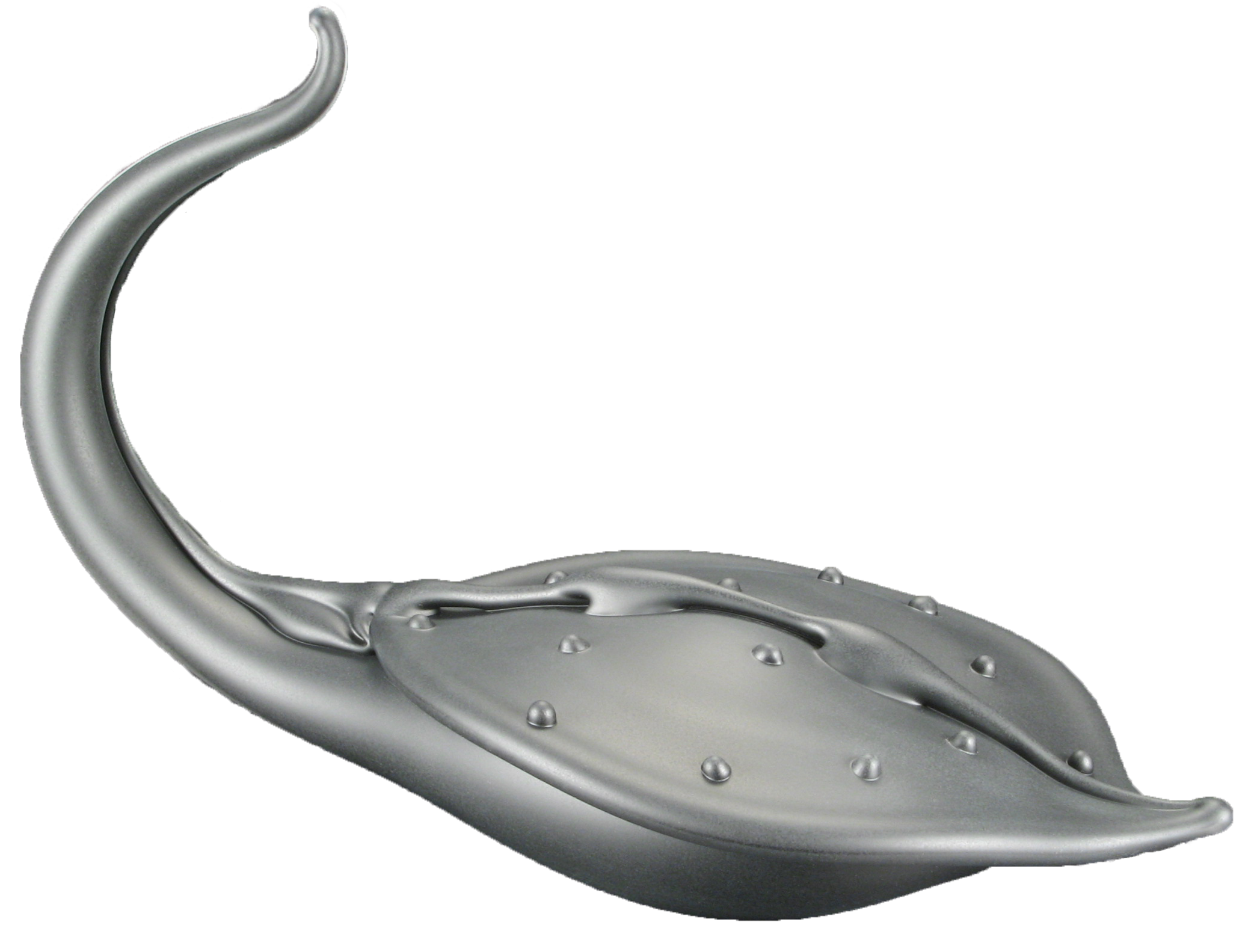 Black Bumpy Thing 21 | Coria Jacobs Gallery